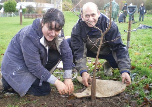 Permaculture Design Principle 12: Creatively use and respond to change