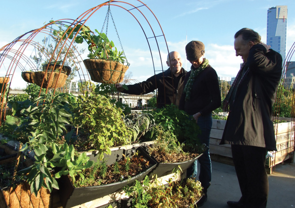 Permaculture Design Principle 1: 'Observe & Interact'