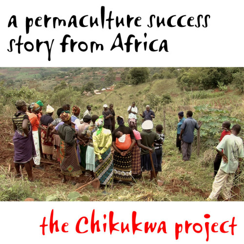 Permaculture Ethics in Business - Permaculture Principles