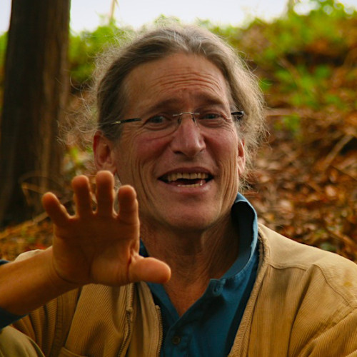 David Holmgren reviews INHABIT: A Permaculture Perspective David Holmgren reviews INHABIT: A Permaculture Perspective