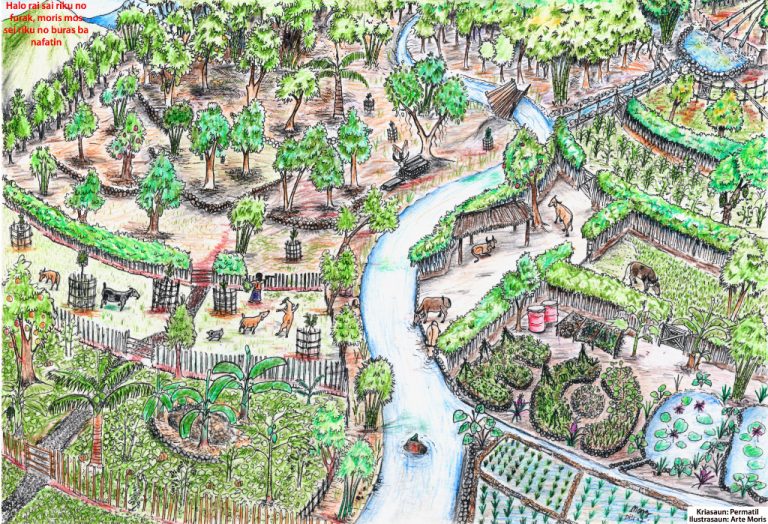 Open source Permaculture Guidebook for the tropics