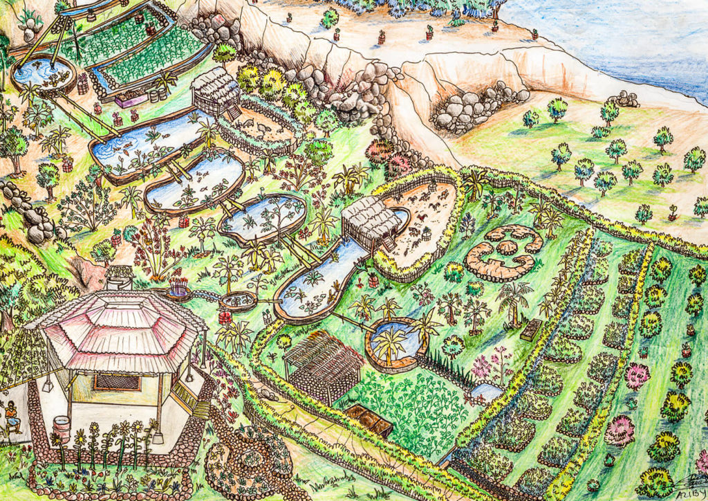 Permaculture Design Principle 7: Design from patterns to details