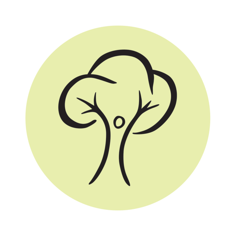 The 12 Permaculture Design Principles