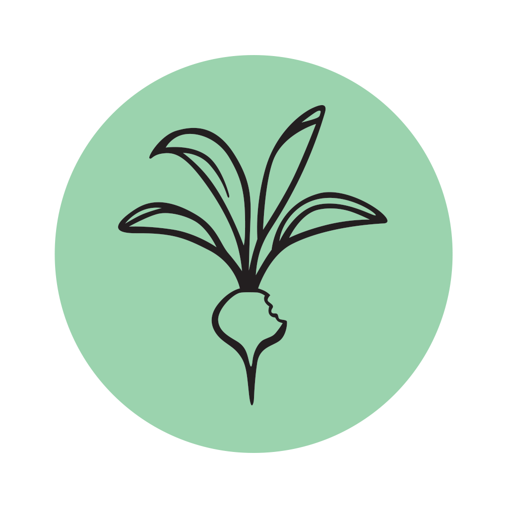 The 12 Permaculture Design Principles