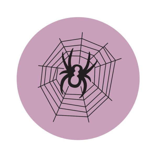 The 12 Permaculture Design Principles