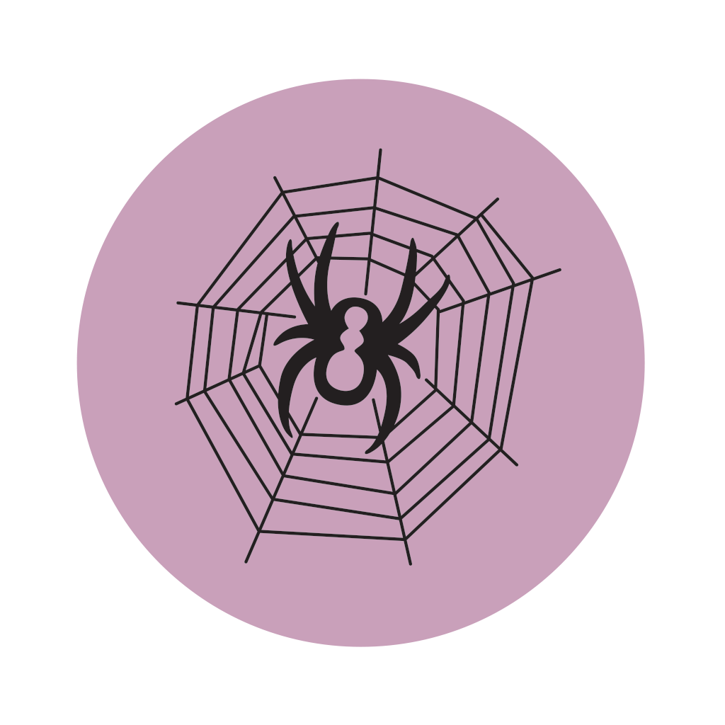 The 12 Permaculture Design Principles