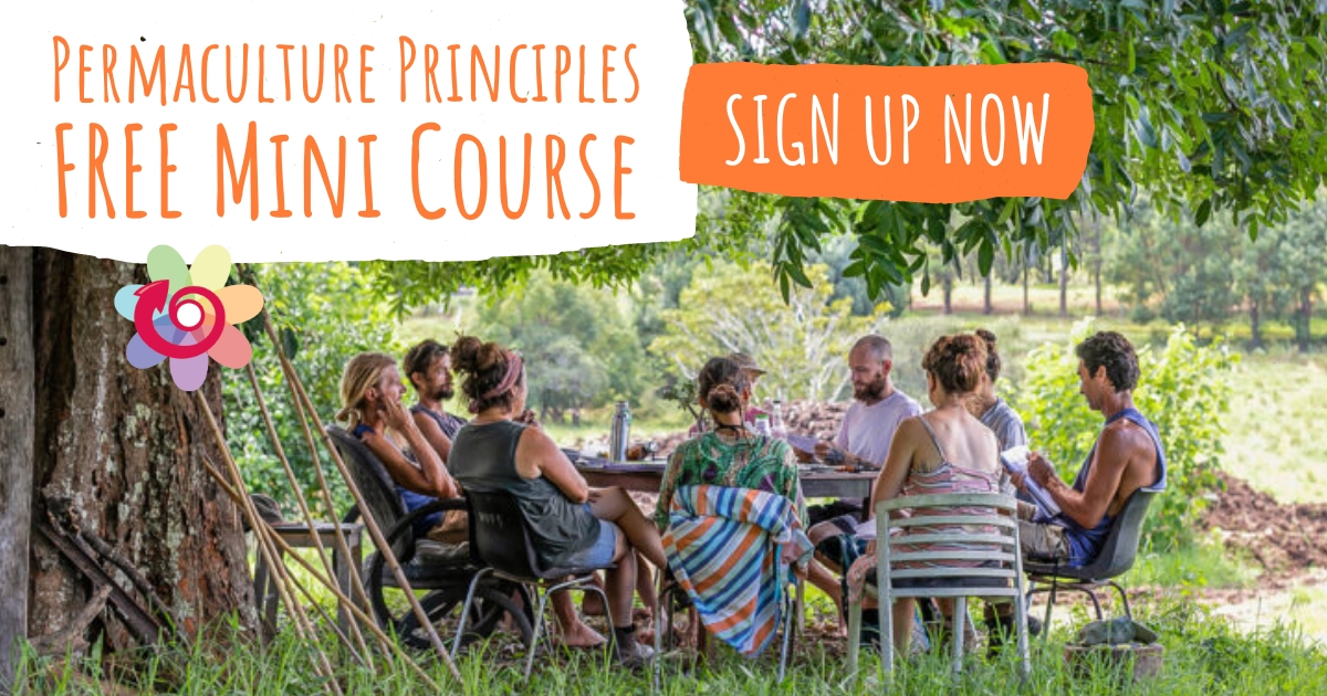 The 12 Permaculture Design Principles